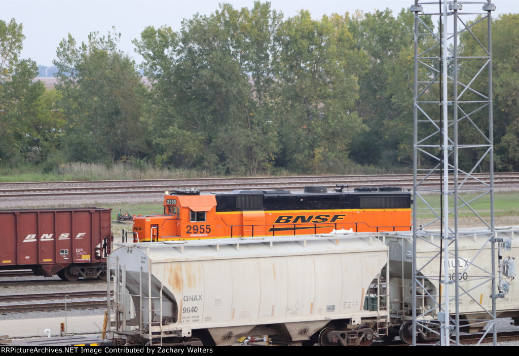 BNSF 2955